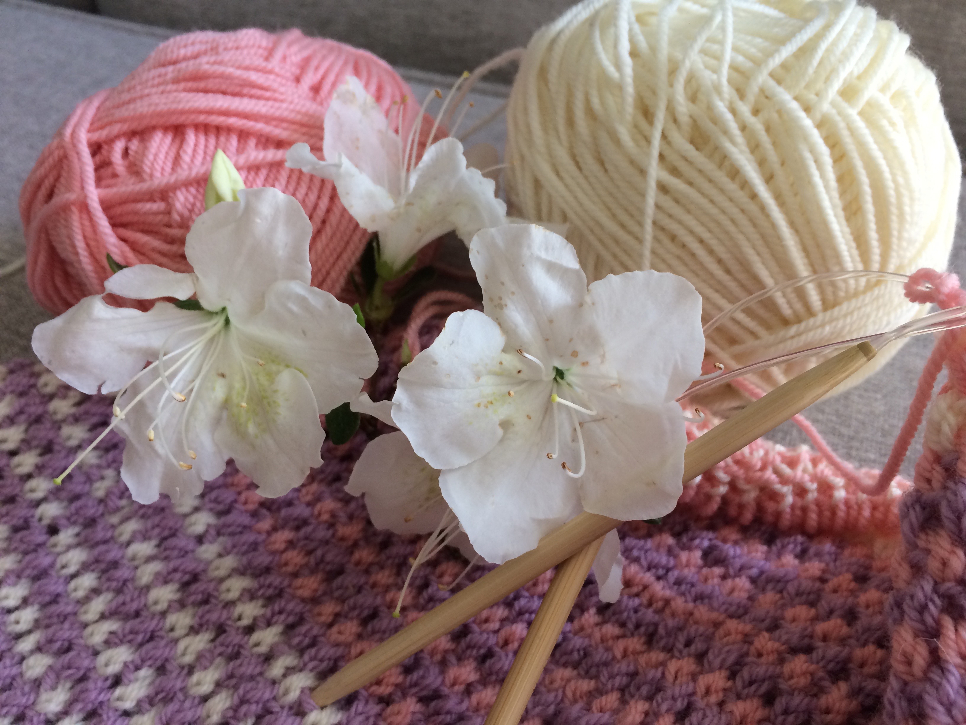 Patterns in Nature, Patterns in Fiber Arts – Sycamore Cove Knitting